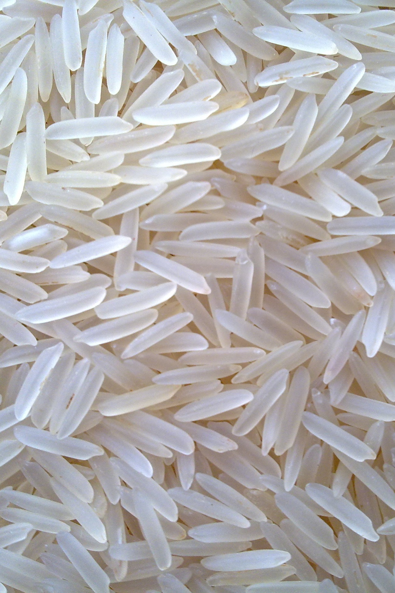 Kailash Agro